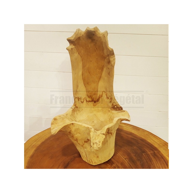 Pot sculpté dans un tronc en bois de Suar - MonJardinVertical.fr